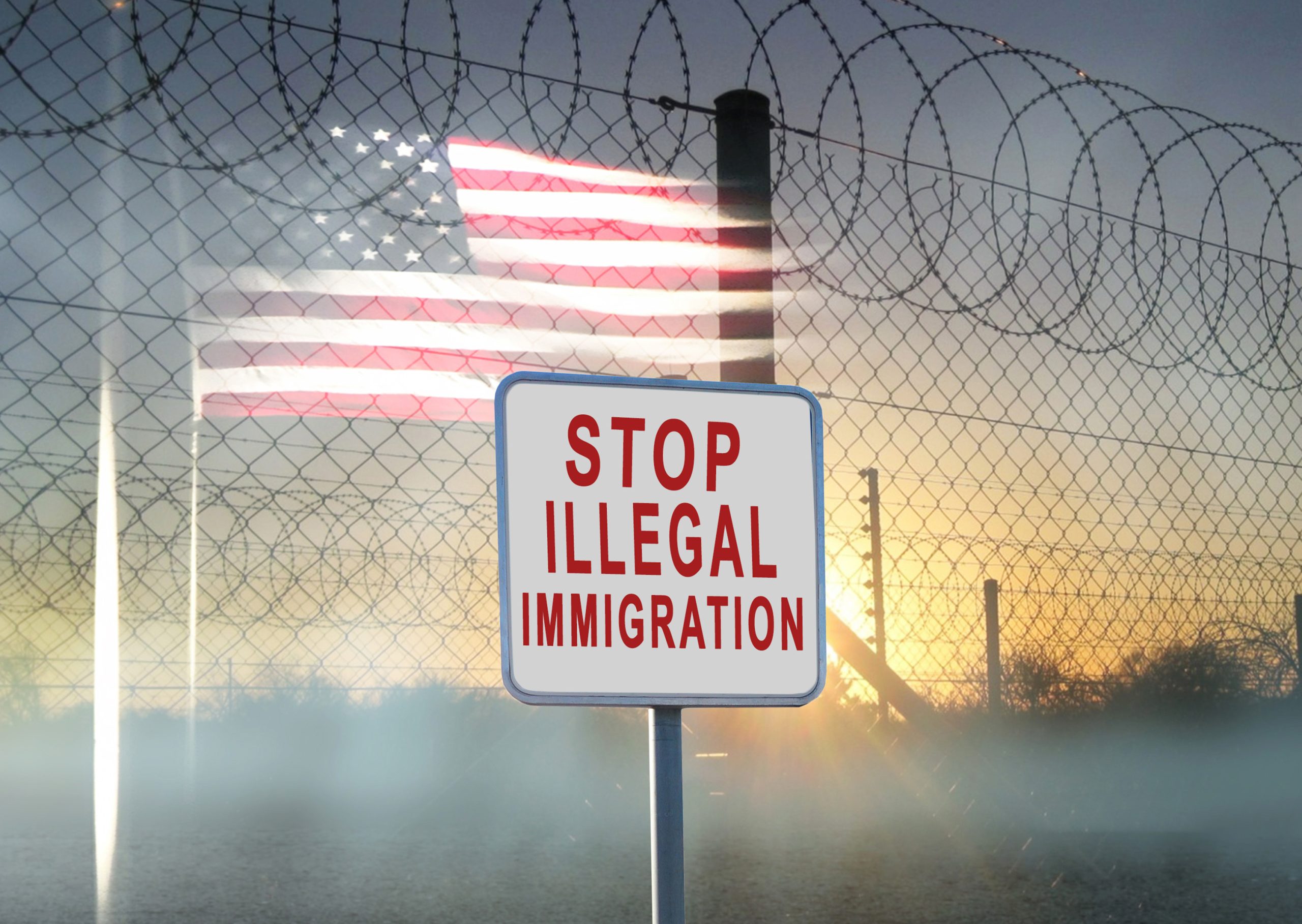 Illegal Immigration Sign