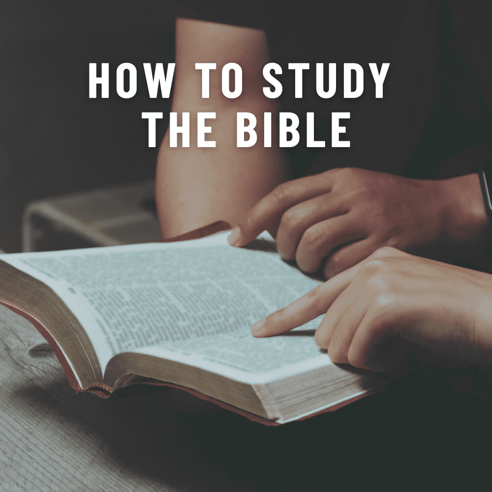 A Strong Start to the Winter Term | Tennessee Bible College